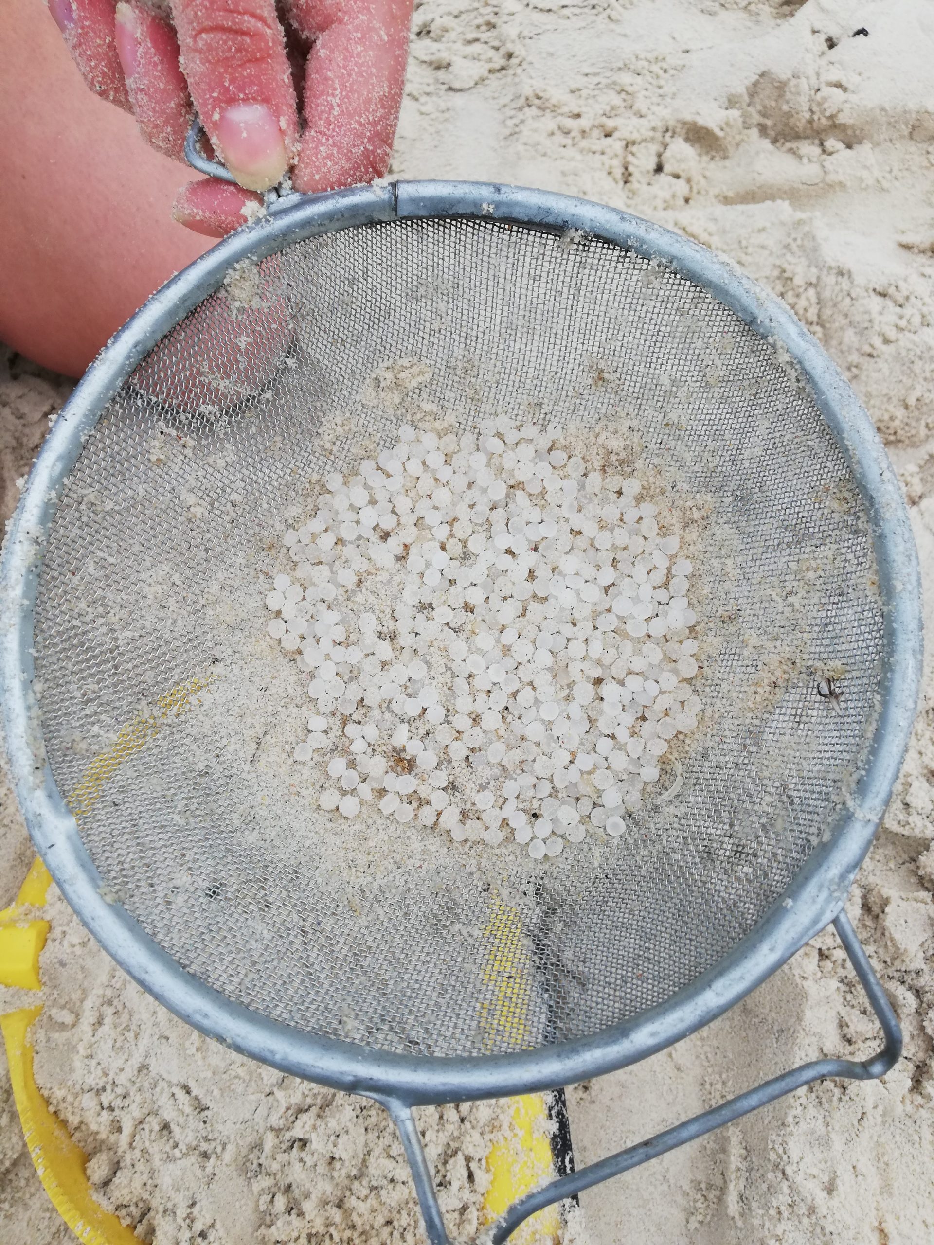 Nurdle Soup anybody? – Ocean Pledge